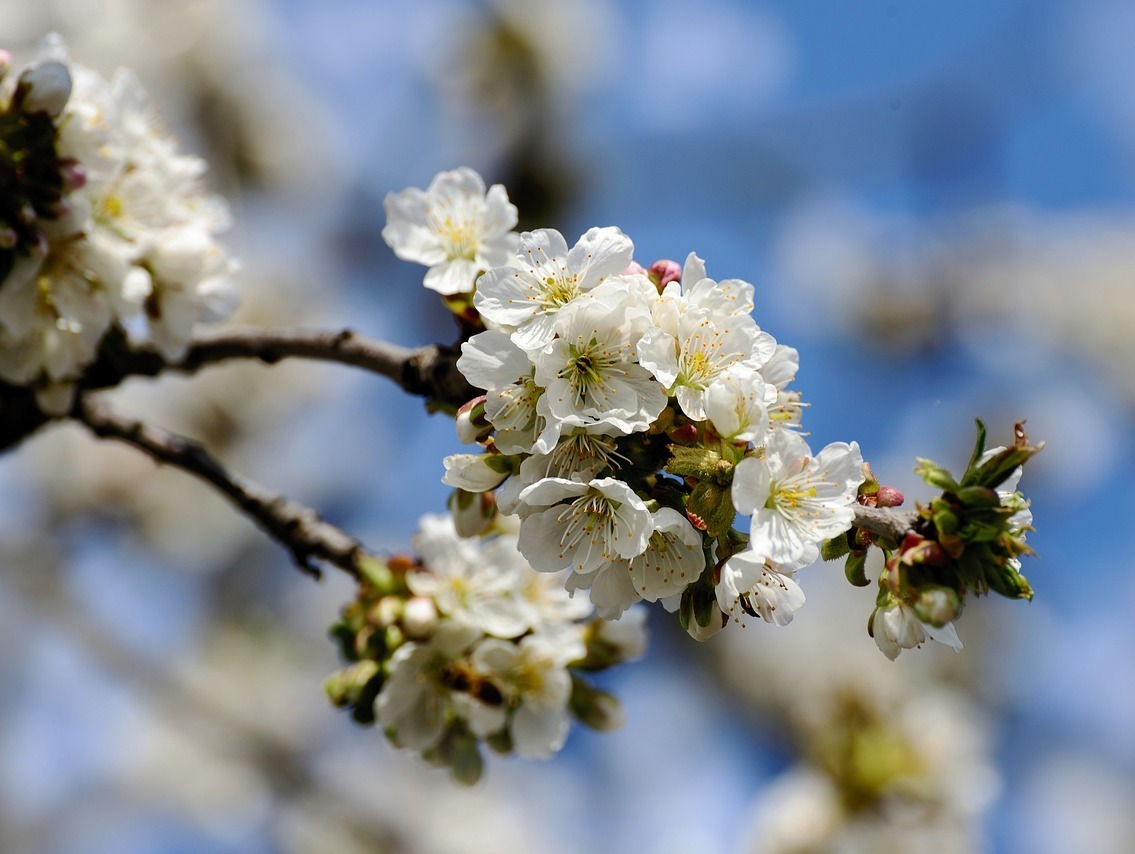 Treye Knorr Memorial Scholarship Fund | Bold.org